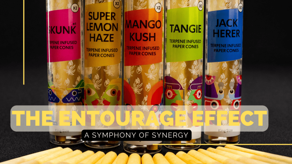 What is the Entourage Effect of Cannabis?